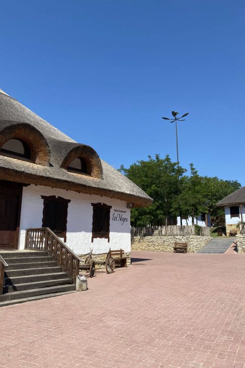 EVENTS | Asconi Winery